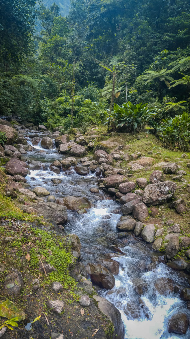 10 Amazing Things To Do In Martinique - Chronically Fly